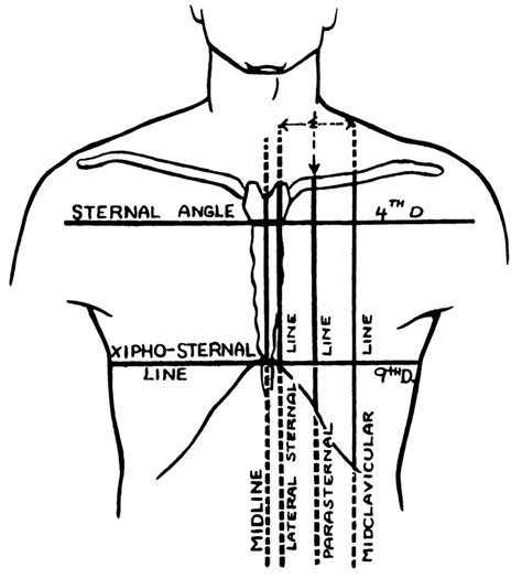 Important Lines You Should Dr Amr Arafa Psychiatrist Facebook