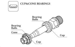 A Comprehensive Guide To Cup And Cone Bearings Fhd