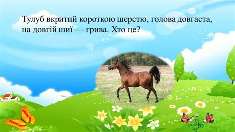 ЯДС ДОГЛЯД ЗА СВІЙСЬКИМИ ТВАРИНАМИ