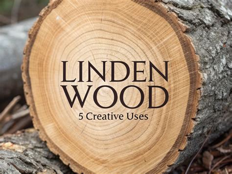 Dark Wood Types 10 Elegant Choices To Explore