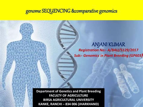 Dna Sequencing Ppt
