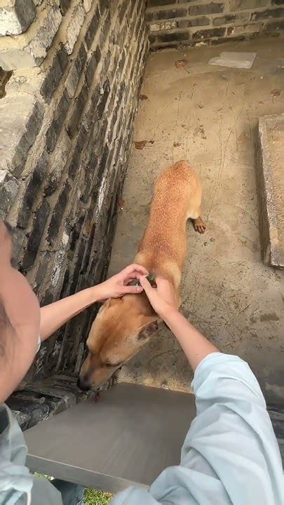 收到大家的建议 Youtube