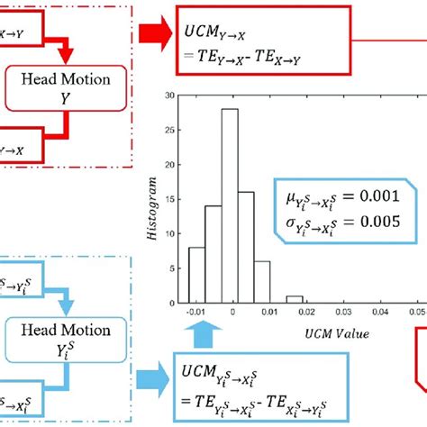 An Illustration Scheme For The Computation Of Unidirectional Causality Download Scientific