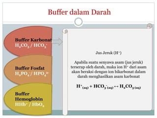 Biokimia I Air Buffer 014 PPT