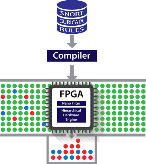 FPGA Based Network Security Appliances FPGA Cybersecurity Servlytics