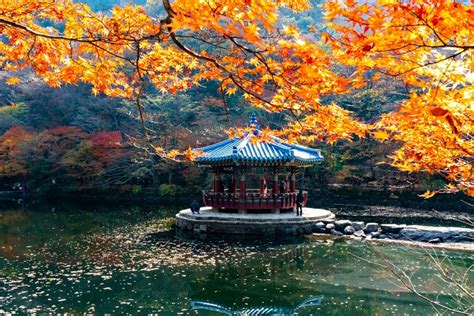 22년 내장산 단풍 진 단풍이 더 아름답더라 꿈꾸는섬