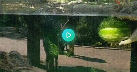 Keep Scrolling Nothing To See Here Please Move Along  On Imgur