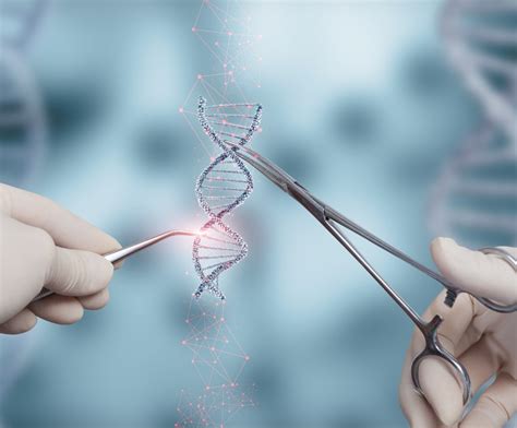 Japanese Researchers Introduce A Novel Gene Editing Technique Crop