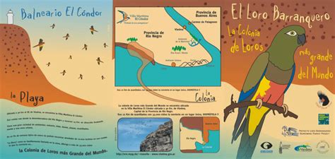 Pdf El Loro Barranquero La Colonia De Loros Más Grande Del Mundo