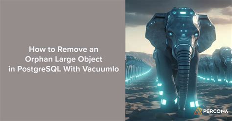 How To Remove An Orphan Large Object In Postgresql With Vacuumlo