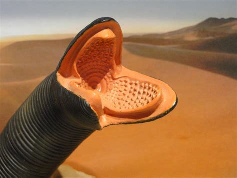 Wormable Unpatched Microsoft Bug Threatens Corporate LANs Threatpost