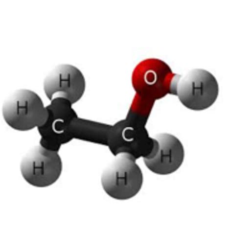 ATCC Cell Line Contamination ResearchGate