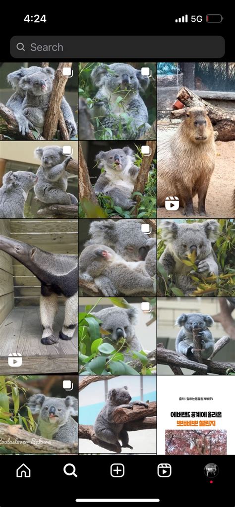 Nerd Jpeg — Magazine Nerd