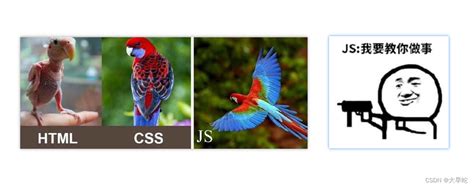 Javascript基础教程：入门篇 Csdn博客
