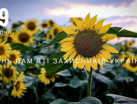 29 серпня День памяті захисників України Букви