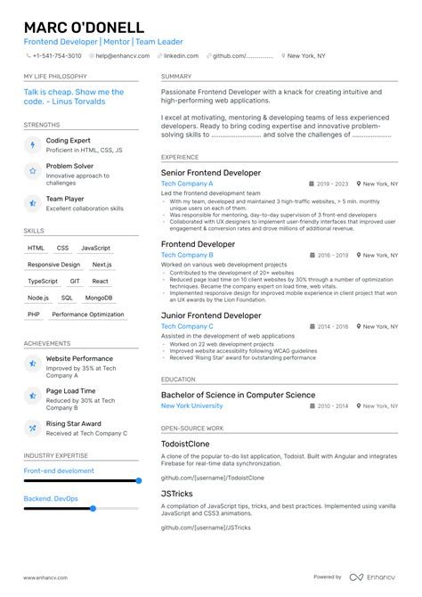 Front End Developer Resume Examples Guide For