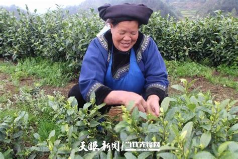 【二十大代表风采】韦子涵：扎根基层投身乡村振兴澎湃号·媒体澎湃新闻 The Paper