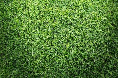 Premium Photo Full Frame Shot Of Grass On Field
