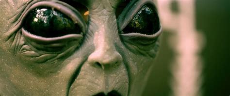 Explain In 5 Levels Of Difficulty Git Dev Community