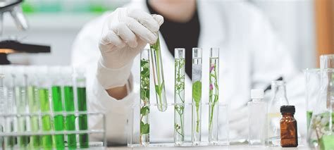 A B Testing How It Works And When To Use It 97th Floor