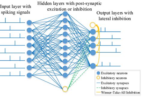 The Architecture Of A Feed Forward Multi Layered Balanced Snn