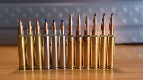 300 Prc Vs 300 Win Mag Outdoor Life