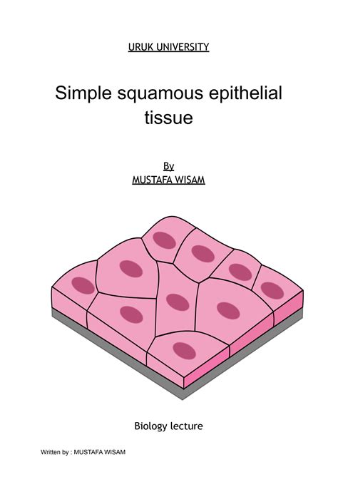 SOLUTION Simple Squamous Epithelial Tissue 1 Studypool