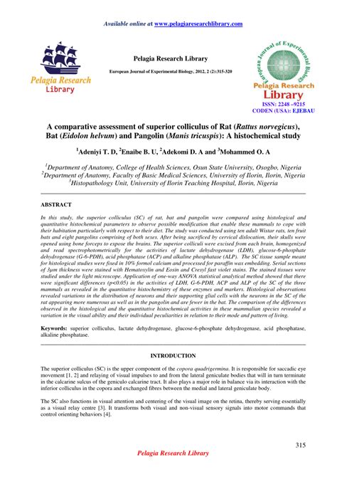 Pdf A Comparative Assessment Of Superior Colliculus Of Rat Rattus