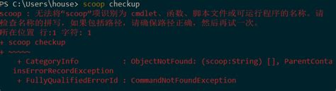 关于 Scoop 安装的疑难杂症 · Issue 33 · Neoleepilot · Github