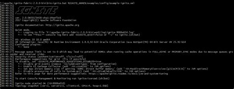 Install Or Setup Apache Ignite In Windows Step By Step Tutorial