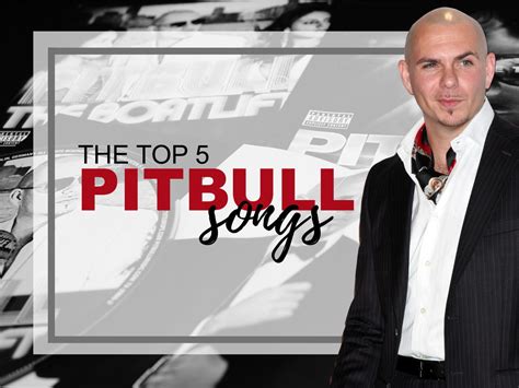 Top 5 Pitbull Party Songs Dont Stop The Party By Pitbull Tugy