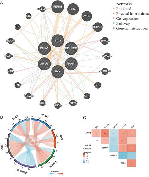 Identification Of Genes Related To Ers In Copd Copd