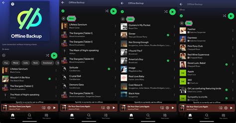 How To Turn On And Use Offline Backup On Spotify 2024