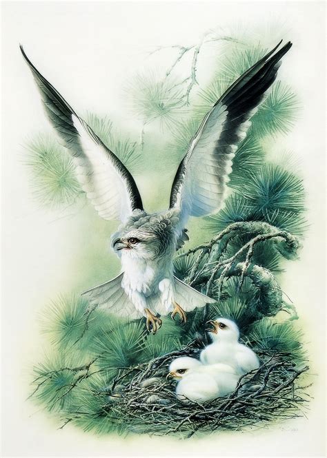 Художник Zeng Xiao Lian 142 работ Картины художники фотографы на Nevsepic