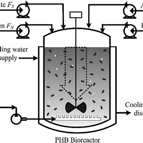 Schematic Diagram Of A Typically Phb Fed Batch Bioreactor Download Scientific Diagram