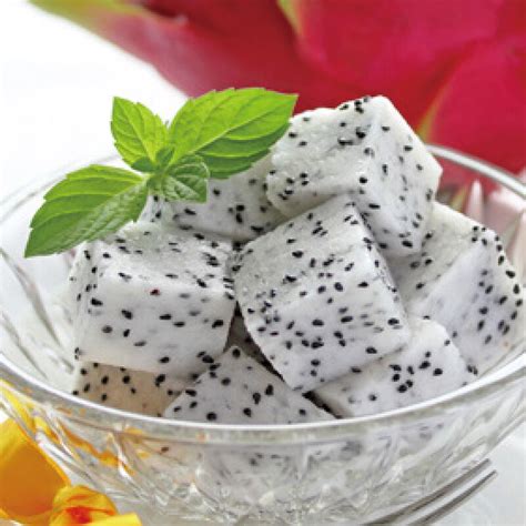 냉동용과 주 파르팜