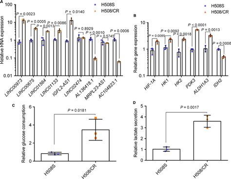 Realtime PCR Validation And LncRNA Function Prediction A Realtime