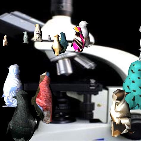 Synthetic Images Generated Using The Proposed Domain Randomization Download Scientific Diagram