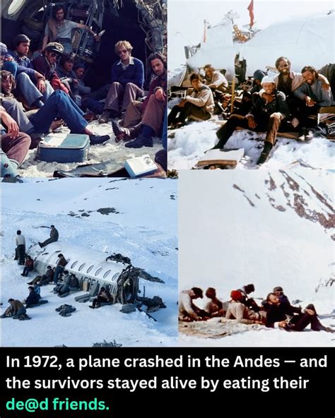 The Alien Connection Truth The 1972 Andes Plane Crash — The Most