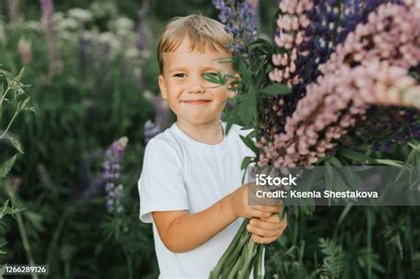 자연 야외에서 필드에서 꽃 발다와 귀여운 작은 행복한 네 살 짜리 아이 소년의 초상화 가을에 대한 스톡 사진 및 기타 이미지 가을 개념 개화기 Istock