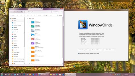 Windowblinds 11 File Explorer Not Working Forum Post By Djdidas905