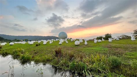 ︱宇法司法四等函授︱書記官執達員執行員法警高普考 113年地方特考行政法測驗題 10 10、法規命令係由法律授權主管機關訂定