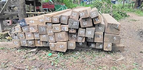 တရားမဝင် သစ်မျိုးစုံ၊ ကြွေထည်ပစ္စည်းများ၊ စားသောက်ကုန်ပစ္စည်းများ