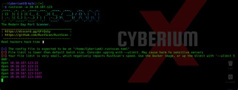 TryHackMe Expose Writeup