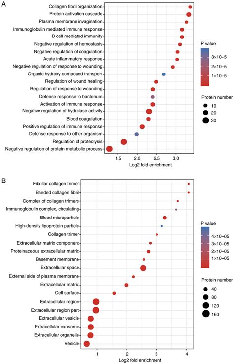 Functional Enrichment Analysis Go Enrichment Bubble Plot Of The A