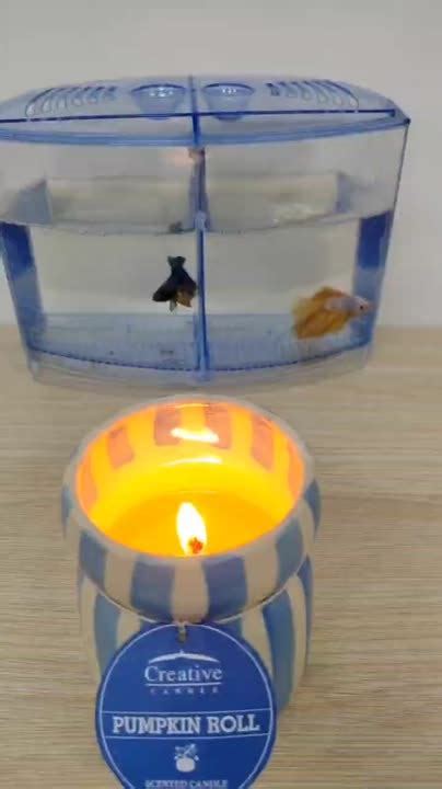 Leo Duan Posted On Linkedin