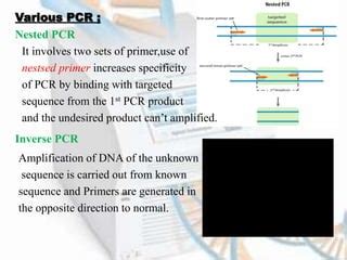 Pcr PPTX