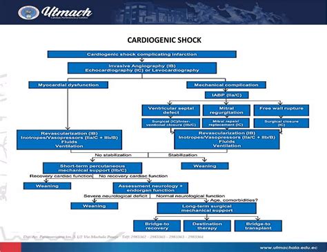 Cardiogenic Shock Algorithm Docx