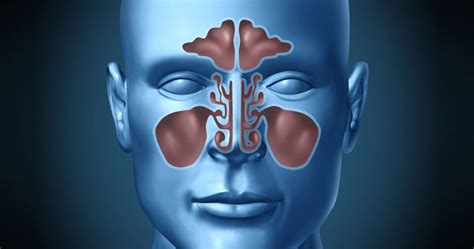 Лечение и операции на нос Др Динев Уши нос гърло