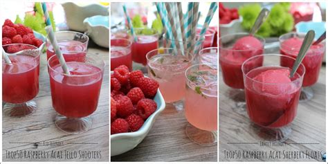 Raspberry Mint Lemonade Dash Of Sanity